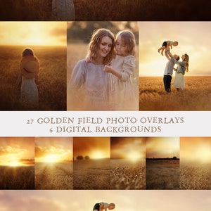 27 Golden Field Overlays Golden Hour Overlays Digital - Etsy Canada