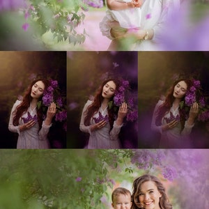 50 Painted Lilac Overlays, Photo Overlay, Floral Overlay, Spring ...