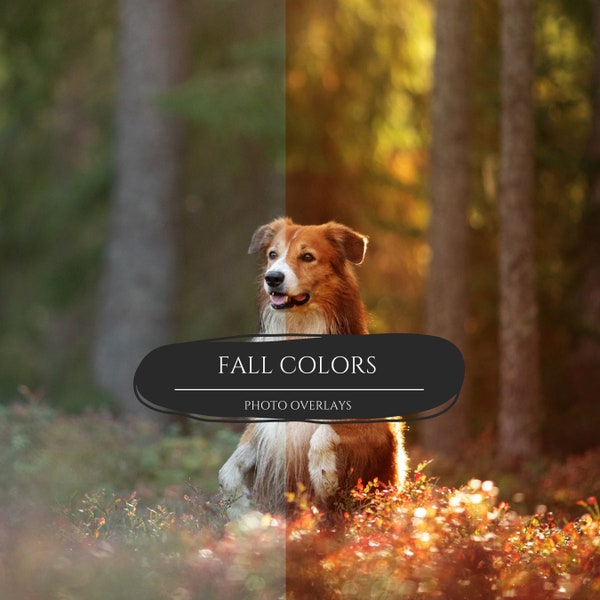 Photoshop Elements - Etsy