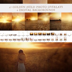27 Golden Field Overlays Golden Hour Overlays Digital - Etsy Canada