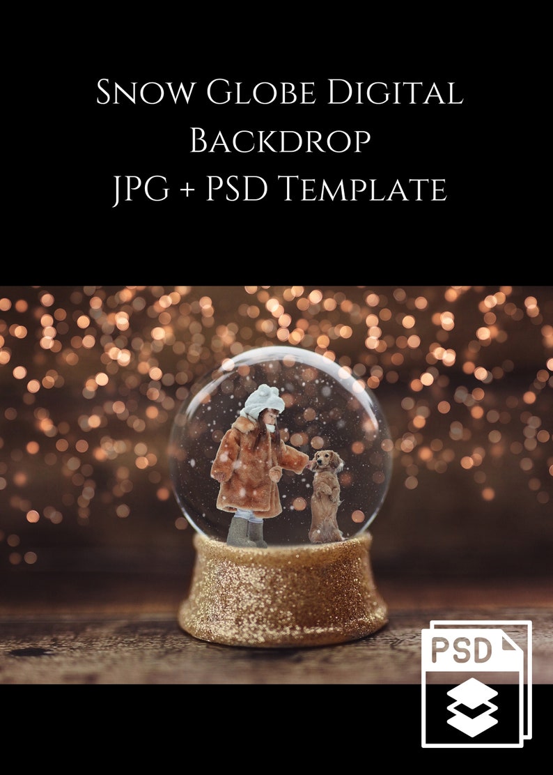 Christmas Snow Globe Digital Backdrop Christmas Backdrop - Etsy