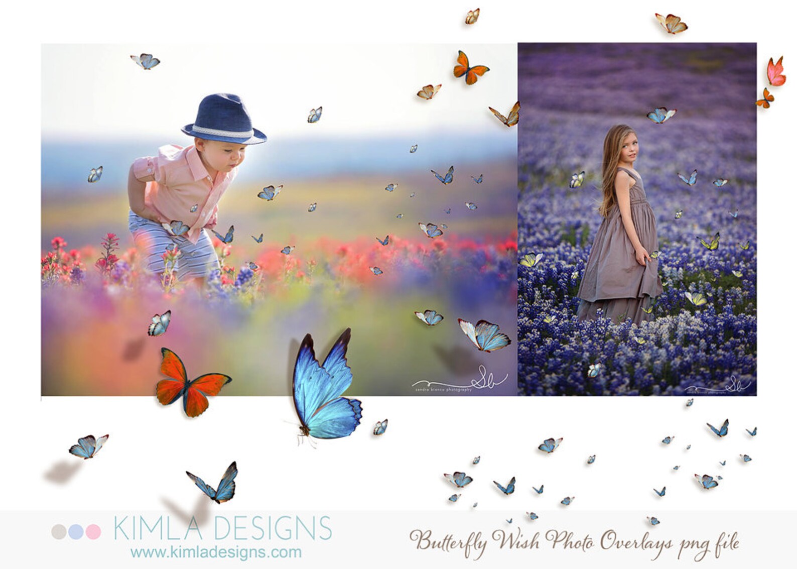 45 Butterfly Overlays Photoshop Overlays Colorful | Etsy UK