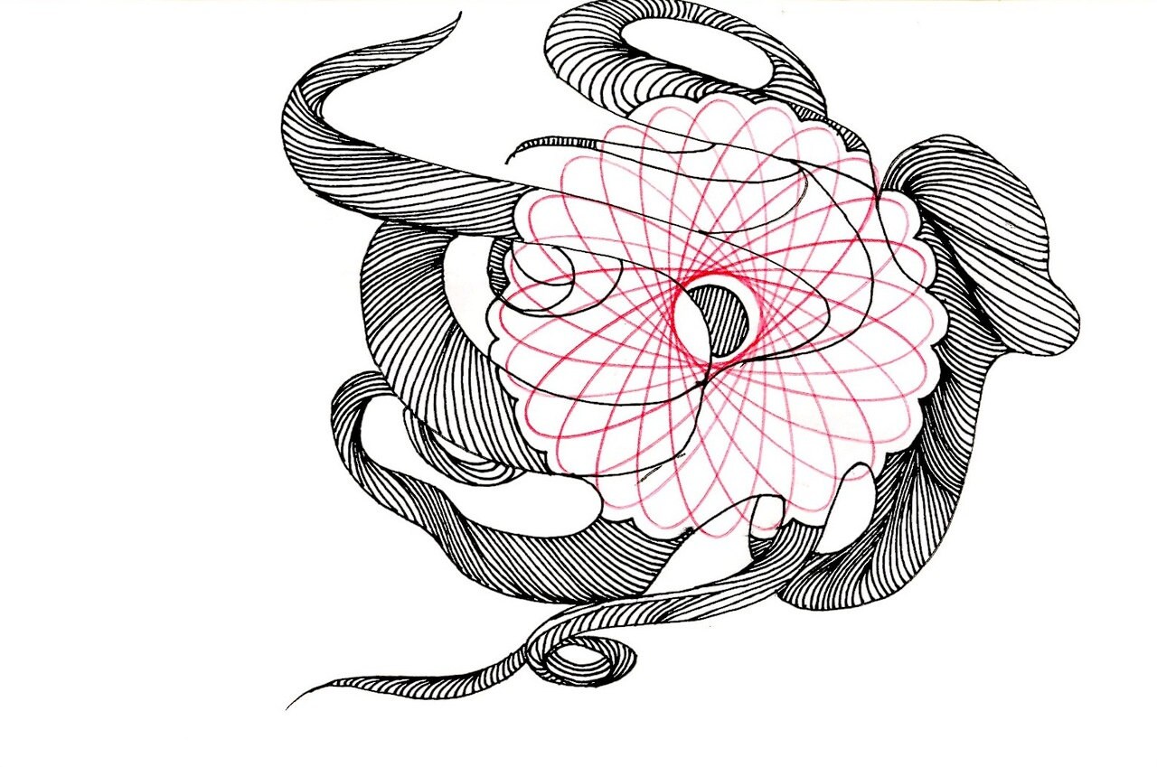 Octopus Drawing - Carefully Calculated Cephalopod - Fine Art Print of 6 ...