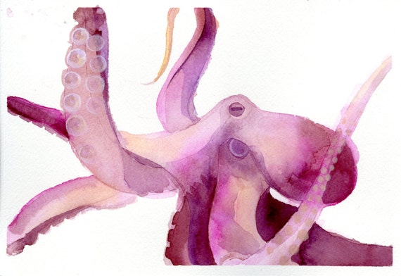 Octopus Painting Blushing Octopus Fine Art Print 4/50 of | Etsy