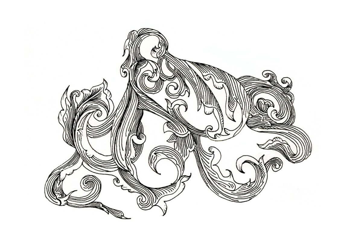 Octopus Drawing - Scrollwork Cephalopod - Fine Art Print of 6"x4" Black ...