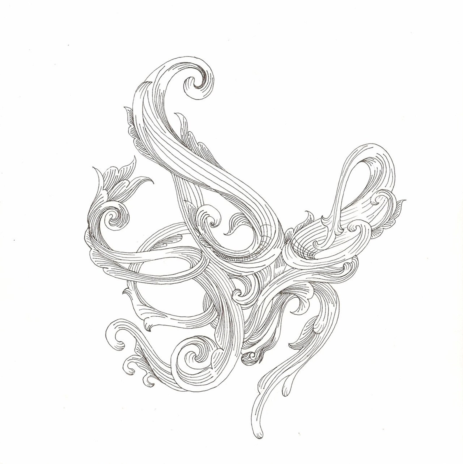 Octopus Drawing - Scrollwork Cephalopod 2 - Original 7"x7" Delicate ...