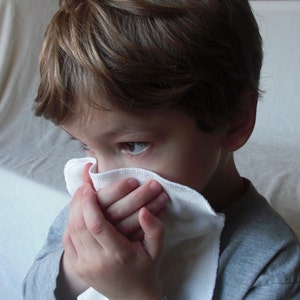 Thin, Soft Organic Cotton Hankies, Natural Color, Soft T-shirt Fabric ...