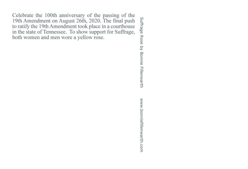 Suffrage Rose - Fine Art Print Postcard - Women Throughout History - by ...