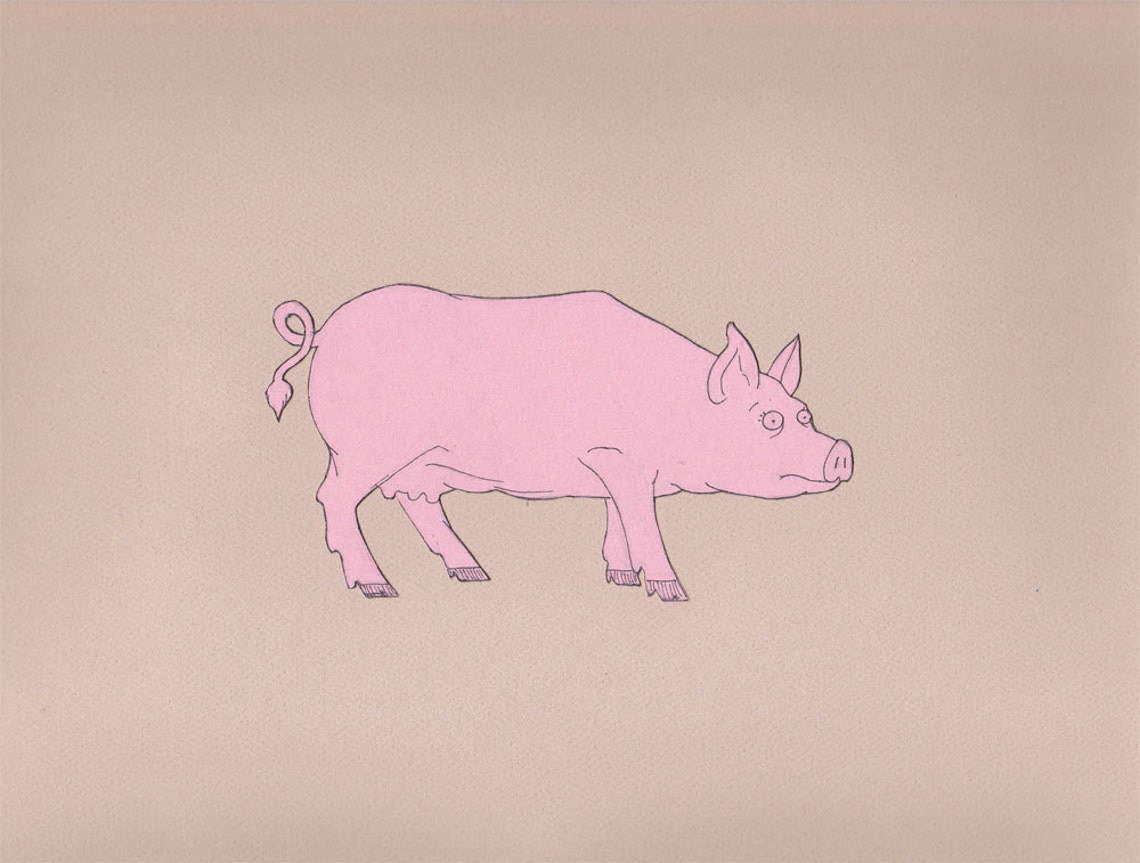 The Pig - Original Drawing - Etsy