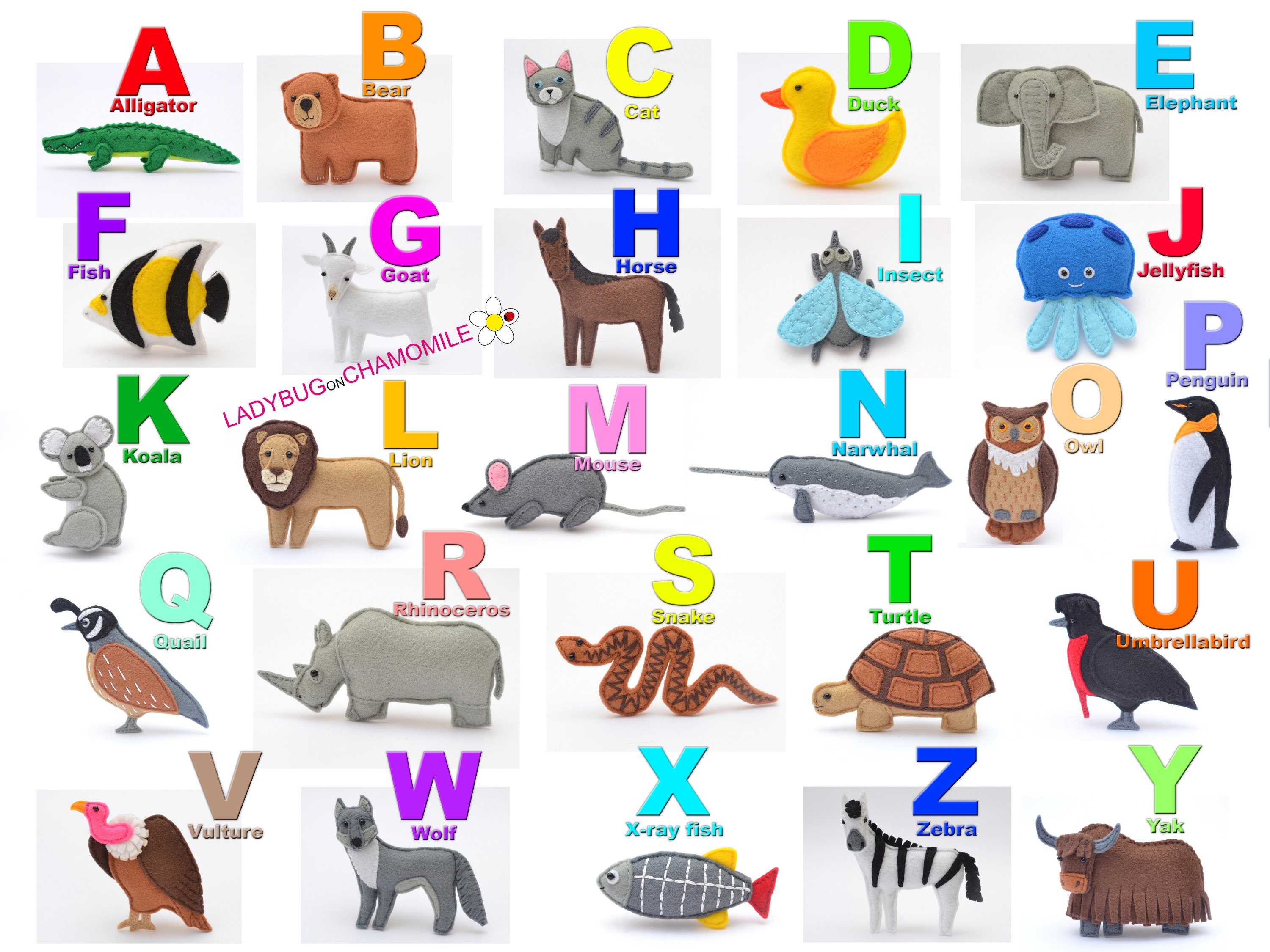 Animals That Start With R