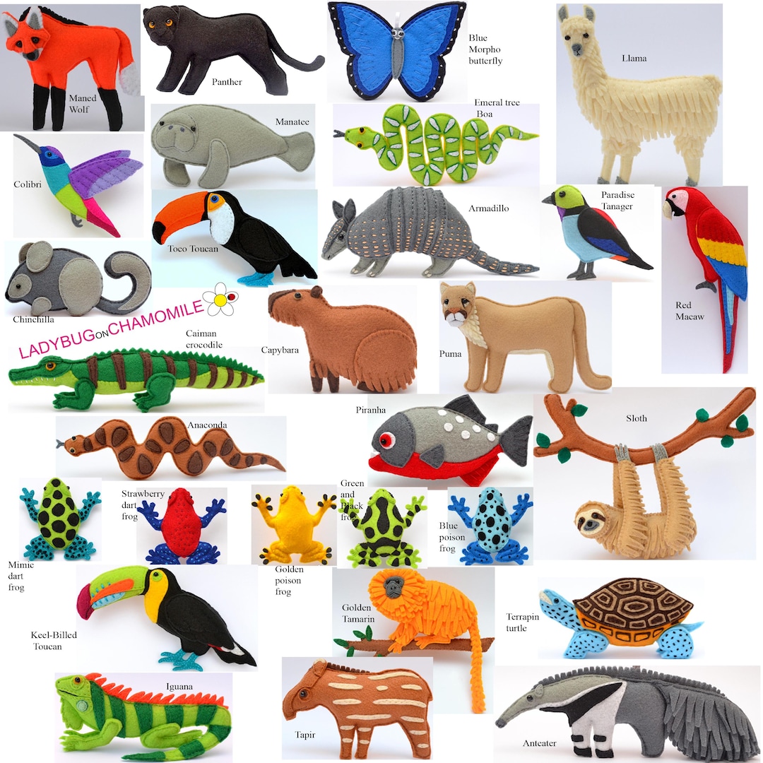 AMAZON RAINFOREST ANIMALS Felt Toys, Ornaments, Magnets, Keychains ...