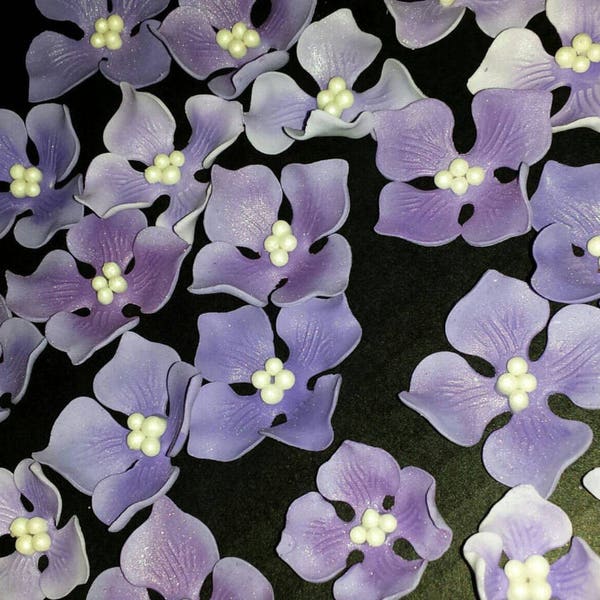 Sugar Hydrangea - Etsy