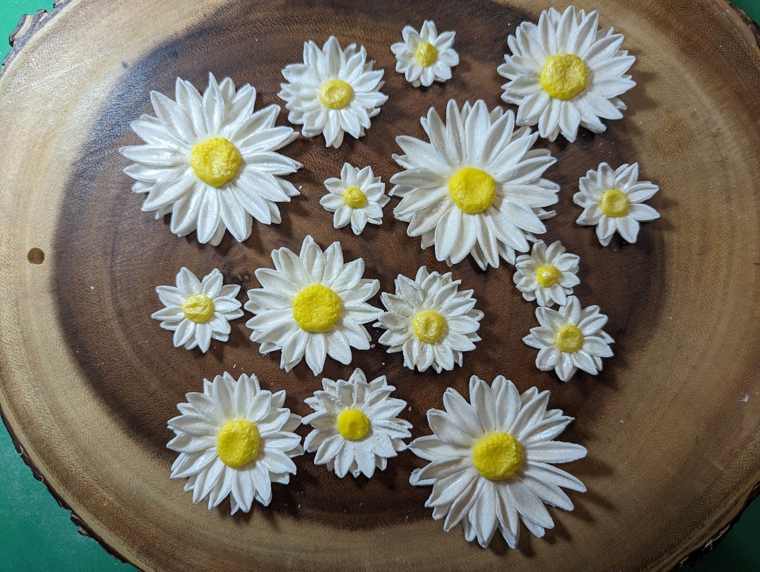 12 Edible DAISY DAISIES / Variety Sizes / Gum Paste / Fondant Flowers ...
