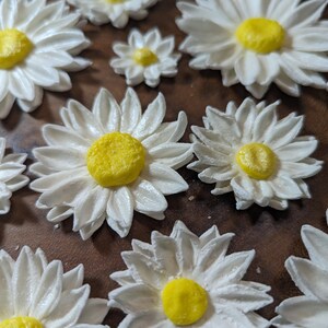 12 Edible DAISY DAISIES / Variety Sizes / Gum Paste / Fondant Flowers ...