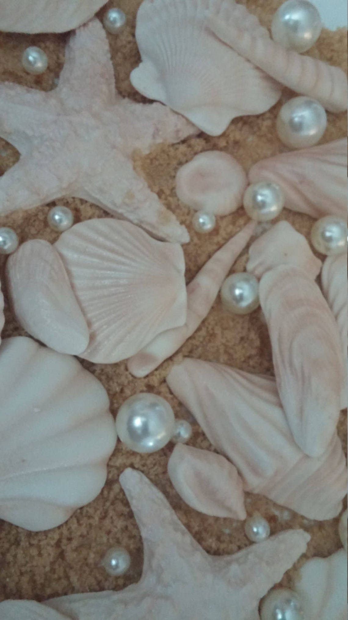 12 Edible SEASHELLS 2 or Less and Various Shapes / Gum - Etsy