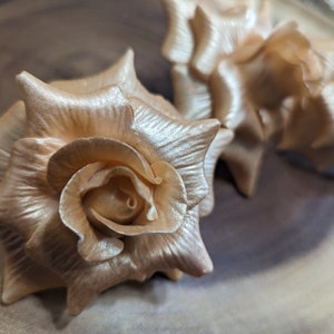 ROSES 3 Edible Veined rona's Rose / Any Color / Gum Paste / Fondant ...