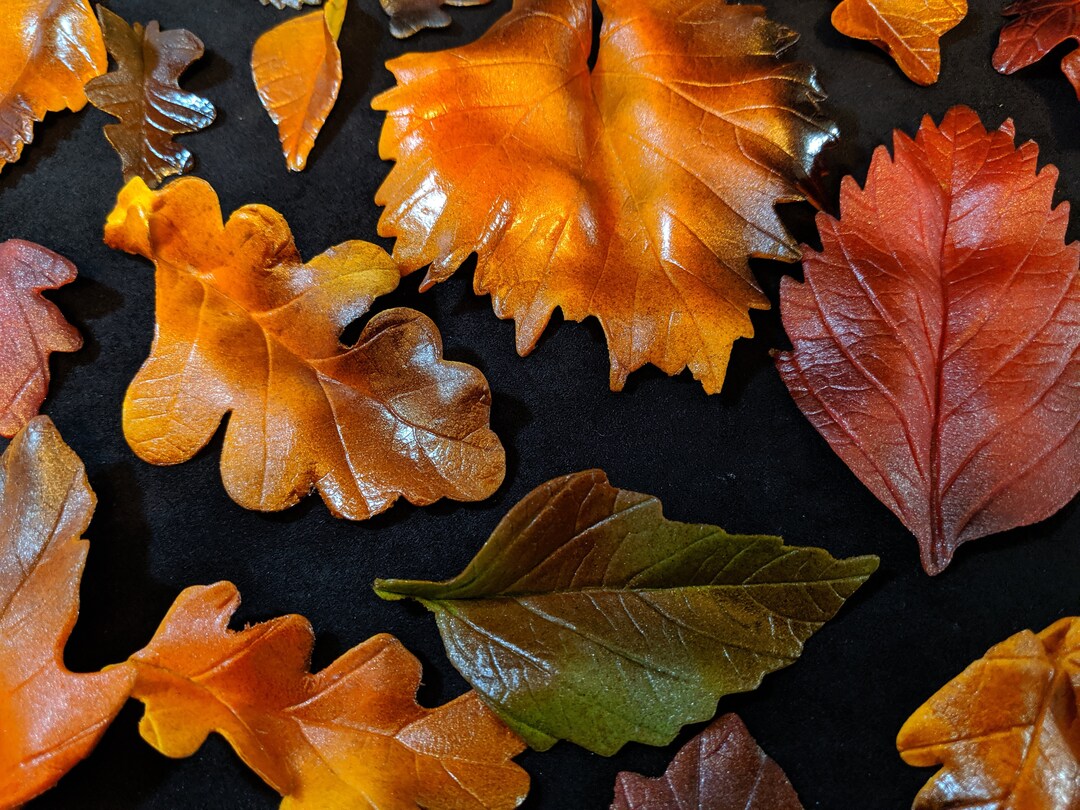 Gum Paste Fall Leaves 2"-3.5" Gum Paste Birch Maple Oak Leaves / Edible ...