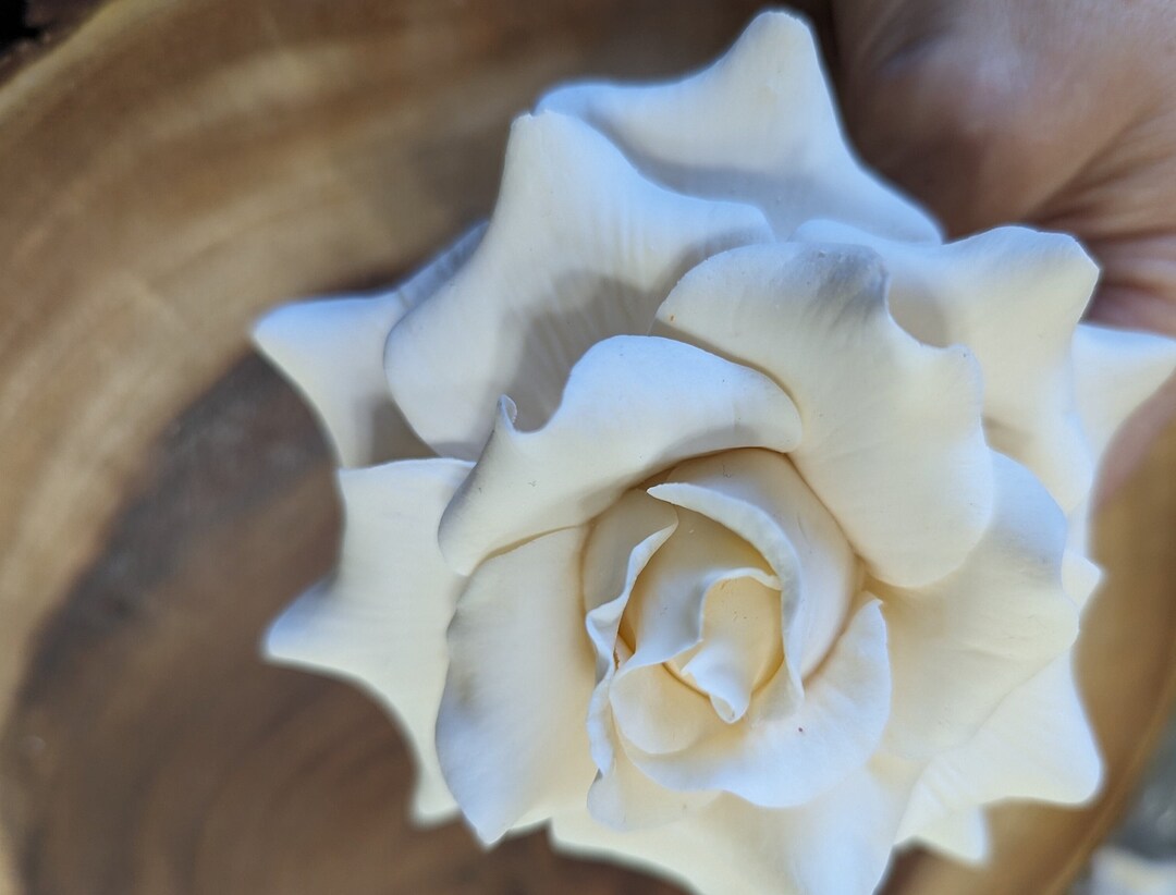 ROSE - Edible Veined "rona's Rose" / Any Color / Gum Paste / Fondant ...