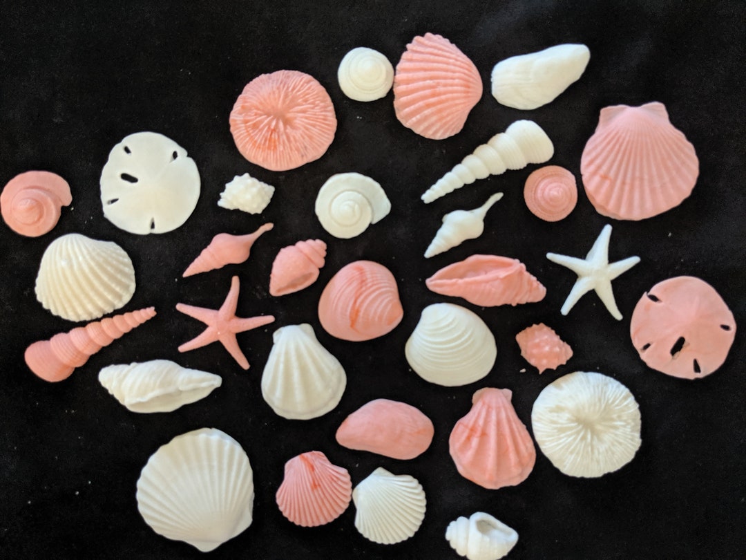 32 Edible SEASHELLS 2" or Less and Various Shapes / Gum Paste / Sugar ...