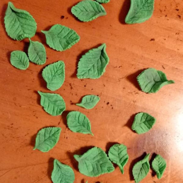 Gum Paste Leaves - Etsy