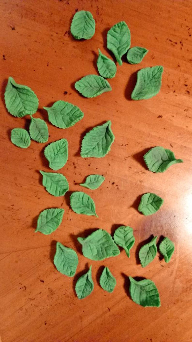 24 Dainty Gum Paste Leaves / Edible Cake Decorations - Etsy