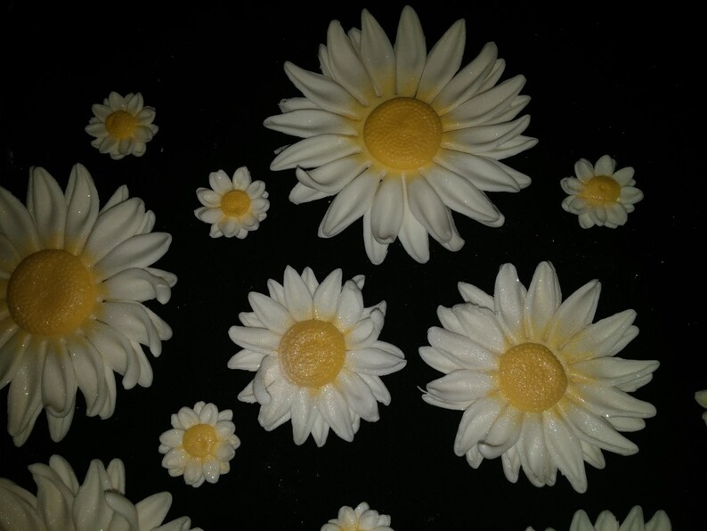 36 Edible DAISY DAISIES / Variety Size Any Color / Gum | Etsy