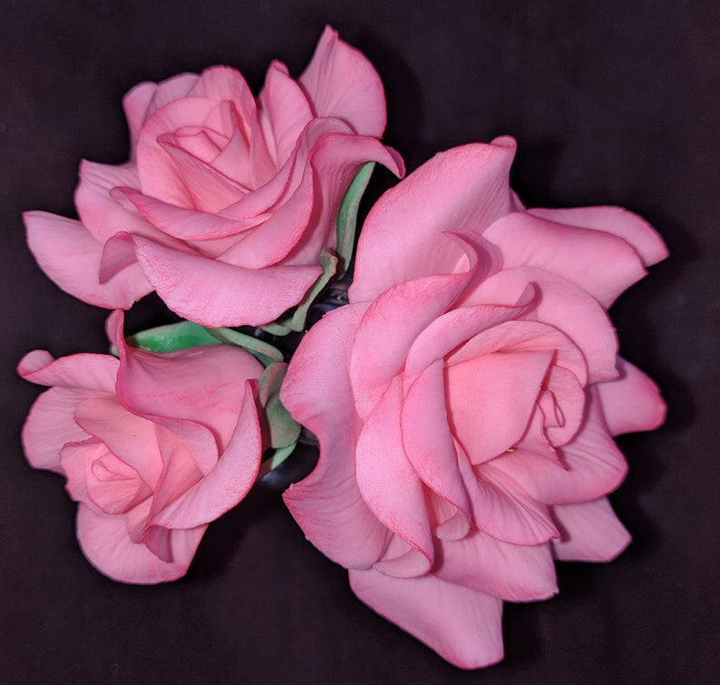 3 Edible Veined HOT PINK ROSES and Leaves /gum Paste/ Any - Etsy