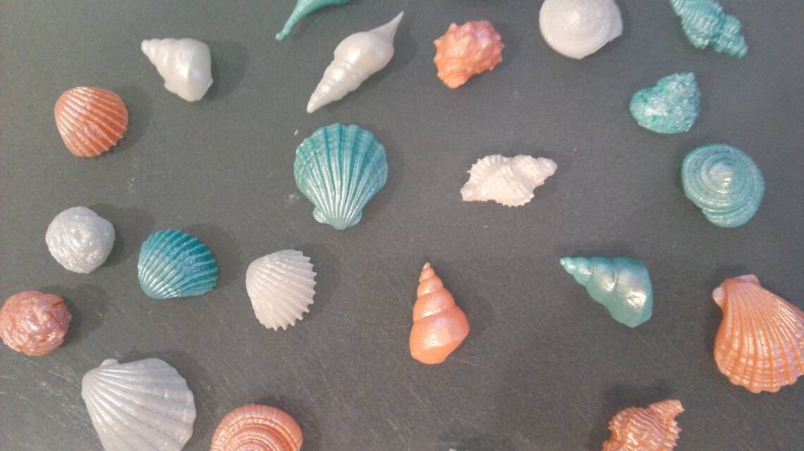 24 Edible SEASHELLS 1 or Less and Various Shapes / Gum - Etsy