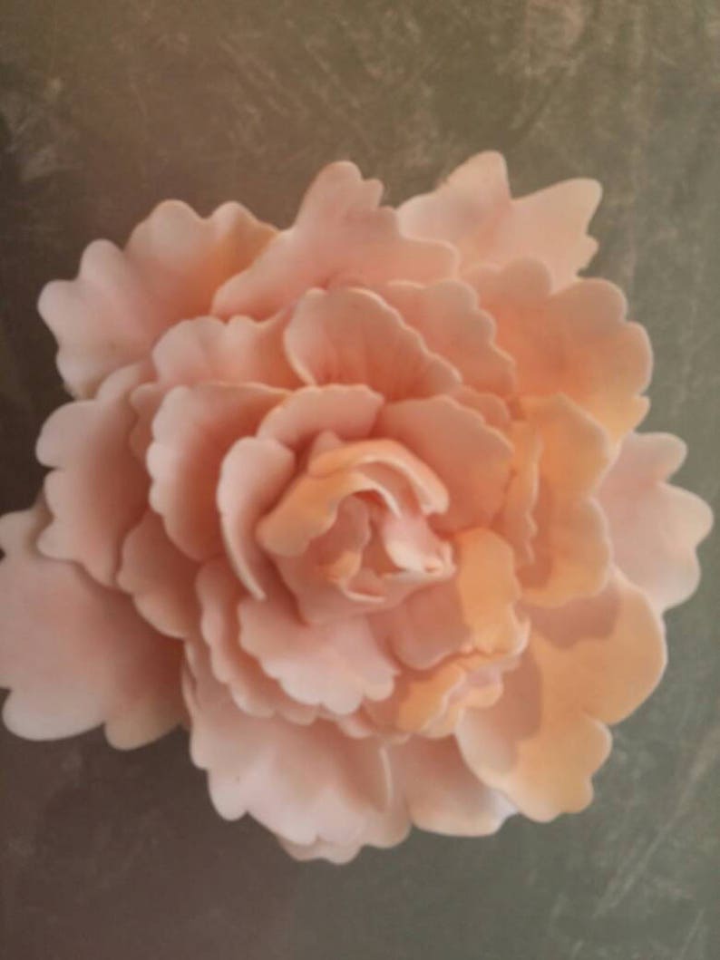 4 Peonies / Peony / Edible Gum Paste PEONY / Any Colors / Cake - Etsy