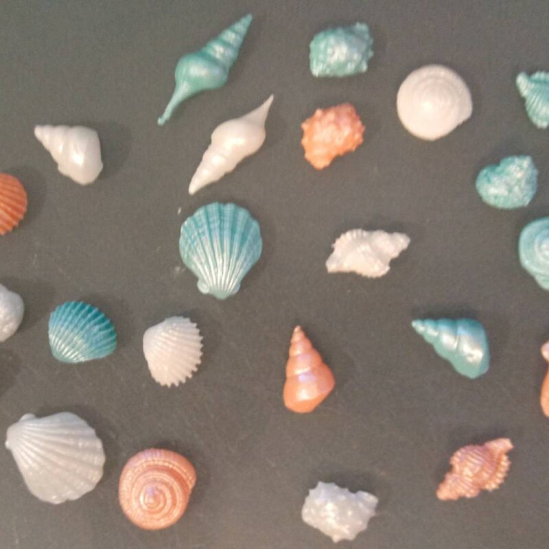 Edible Sea Shells - Etsy