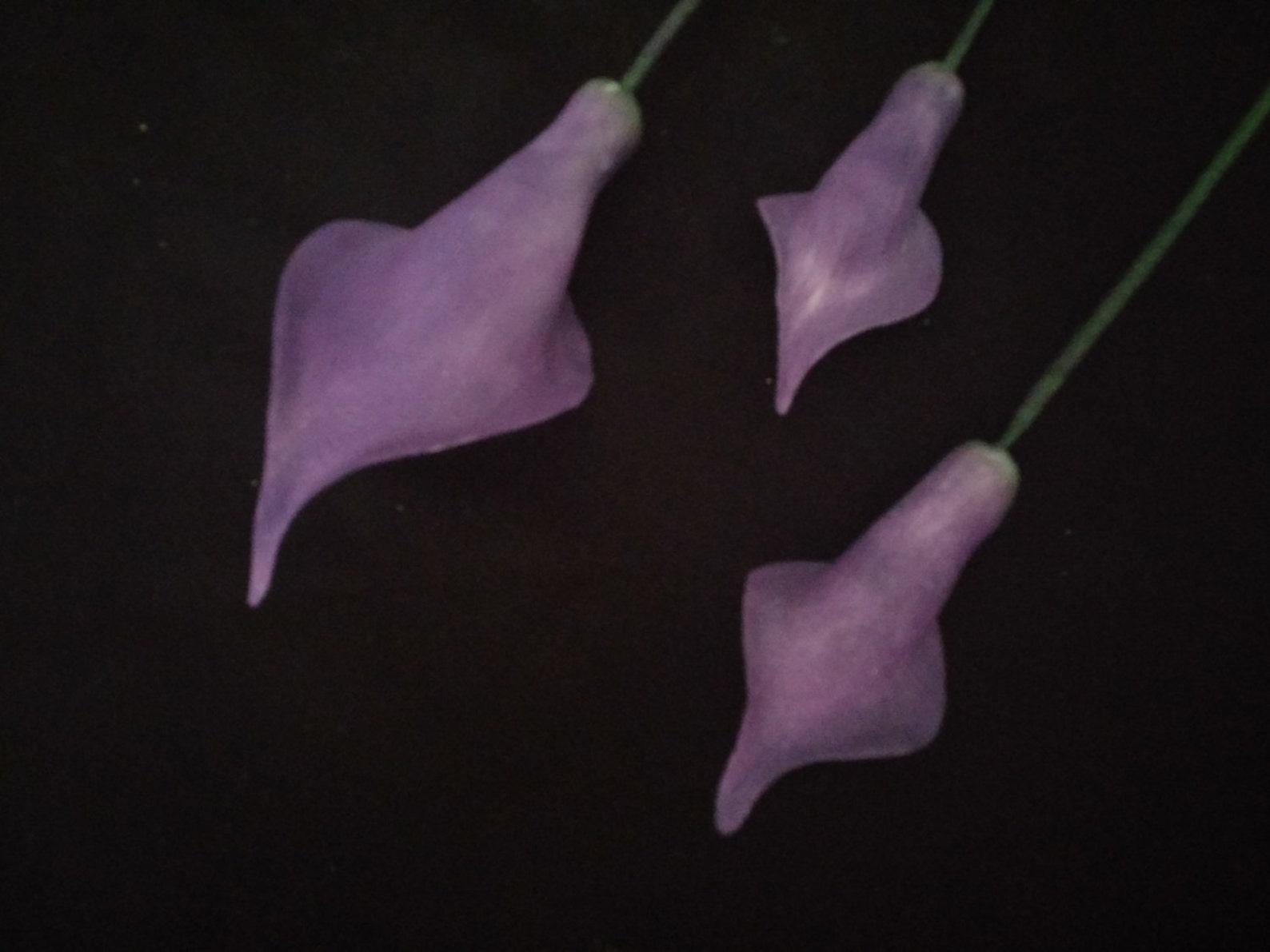 6 Edible Gum Paste Calla Lilies-calla Lily / Extra Long | Etsy