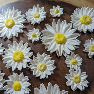 12 Edible DAISY DAISIES / Variety Sizes / Gum Paste / Fondant Flowers ...