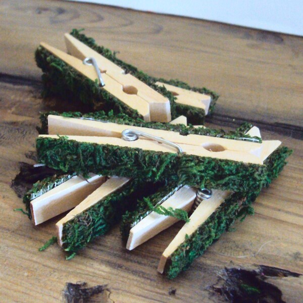 Moss Card Holder - Etsy