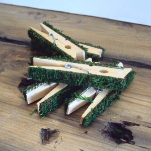 Set of 5 Moss Covered Clothespins - Woodsy Mossy Decoration - Woodland ...