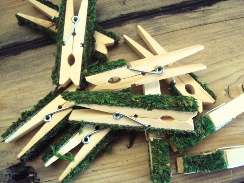 Set of 5 Moss Covered Clothespins Woodsy Mossy Decoration | Etsy