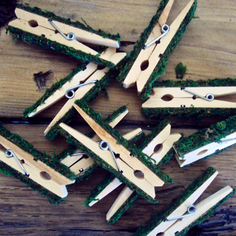 Set of 5 Moss Covered Clothespins Woodsy Mossy Decoration - Etsy