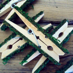 Set of 5 Moss Covered Clothespins - Woodsy Mossy Decoration - Woodland ...
