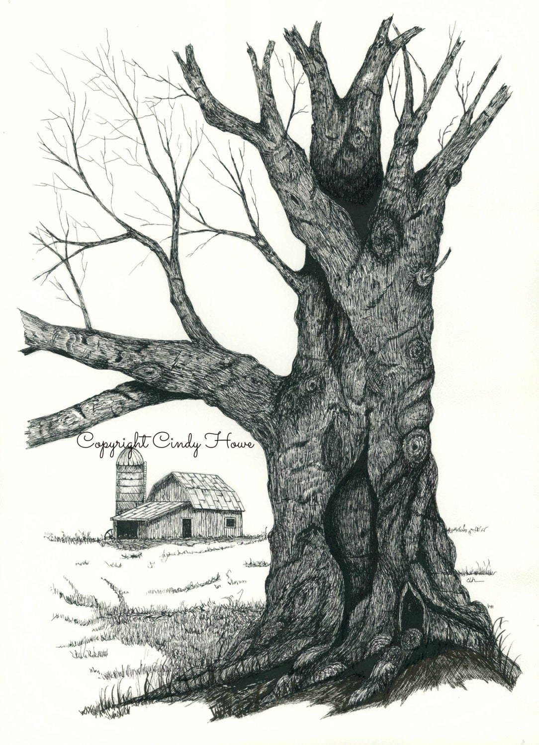 Old Pen And Ink Trees