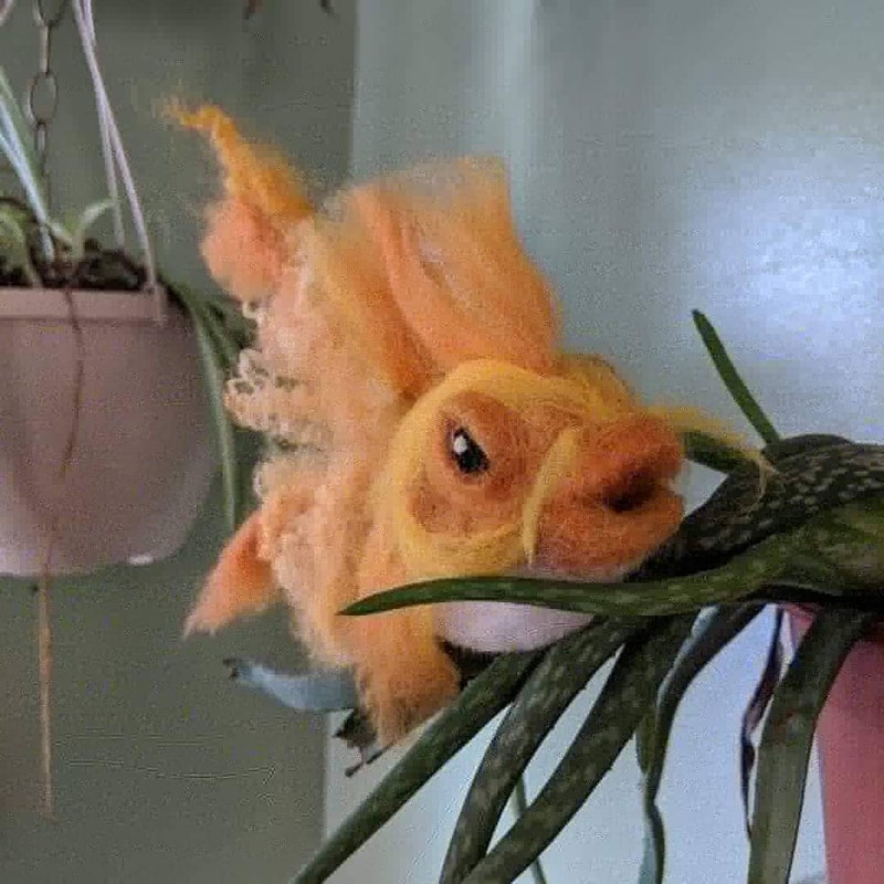 Needle Felted Fish - Etsy