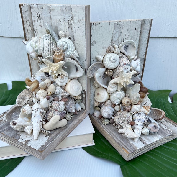 Shell Bookends - Etsy