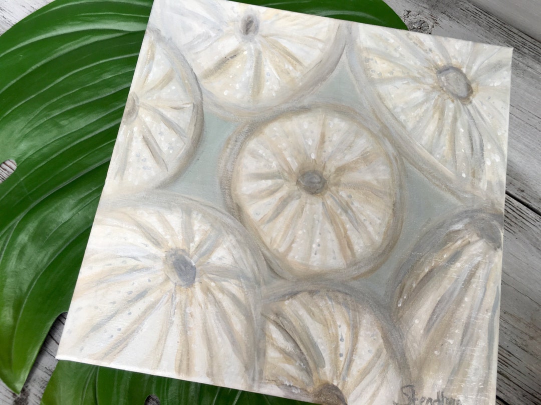 Sea Urchins Shell Painting/coastal Theme Original Painting/abstract ...