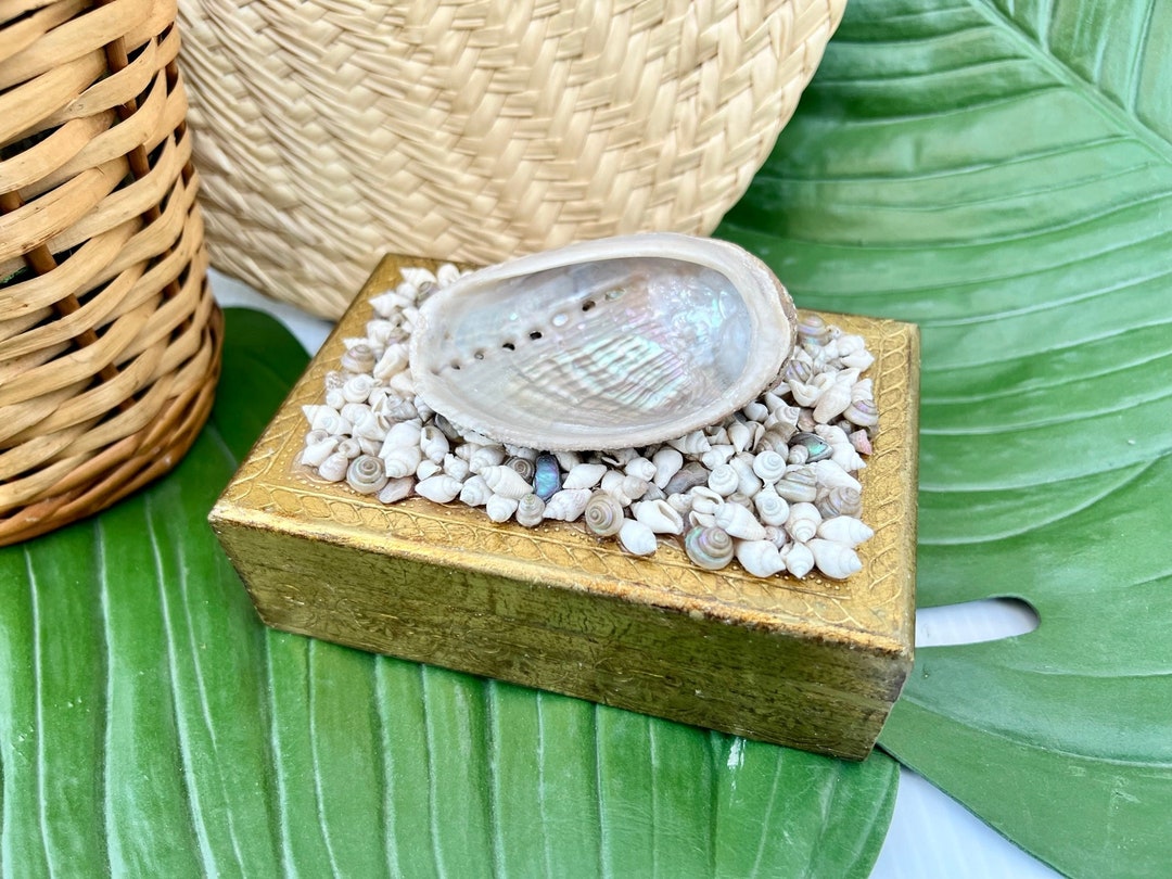 Italian Florentine Seashell Box/vintage Seashell Box/vanity - Etsy