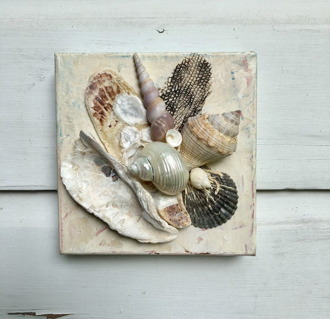 Seashell Art Painting/coastal Art/beach House Decor/seashell | Etsy