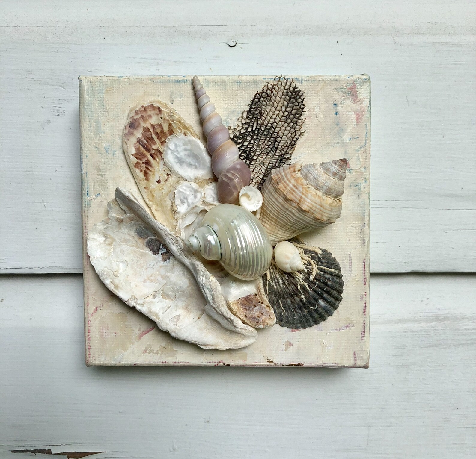 Seashell Art Painting/coastal Art/beach House Decor/seashell | Etsy