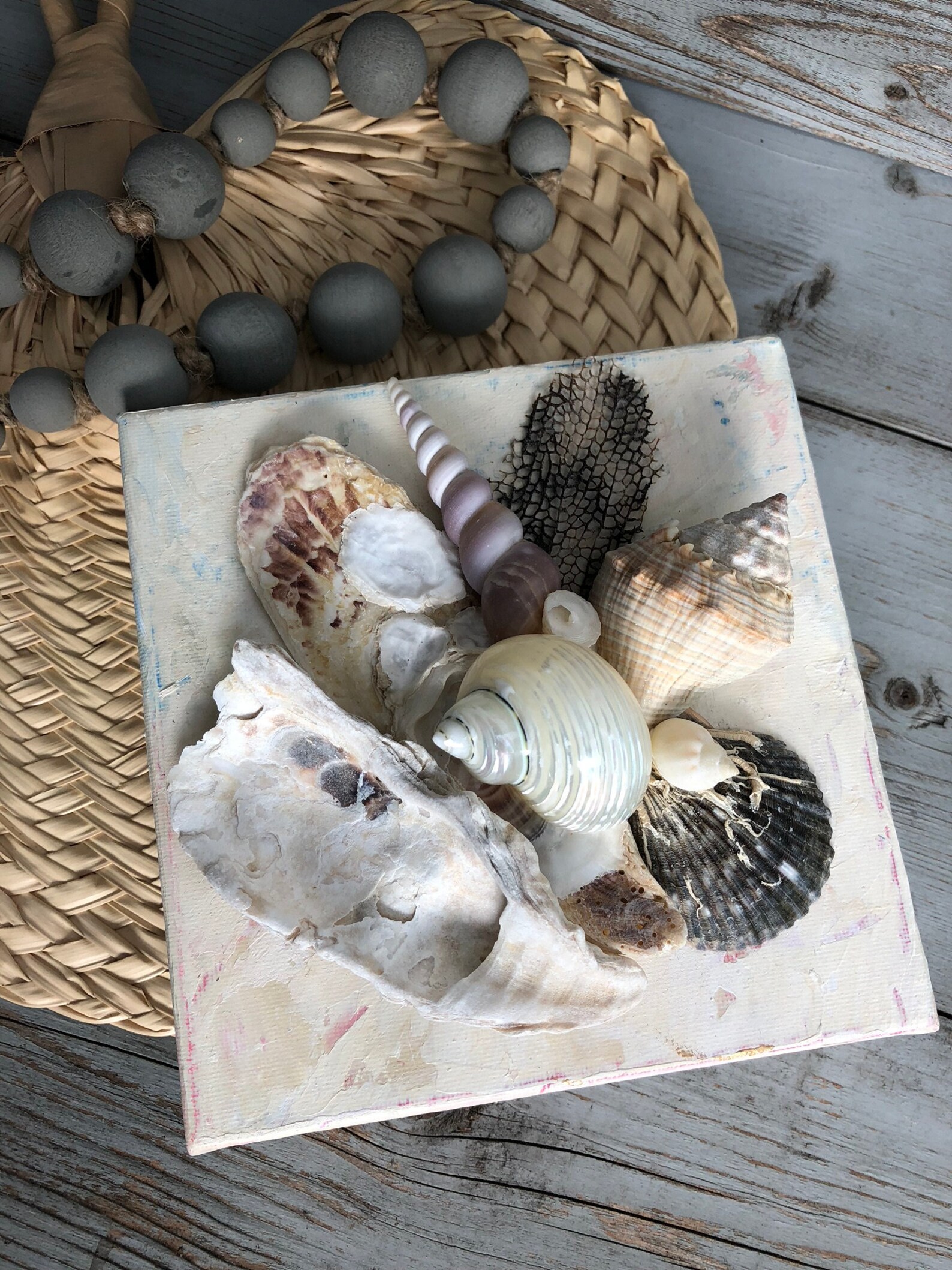 Seashell Art Painting/coastal Art/beach House Decor/seashell | Etsy