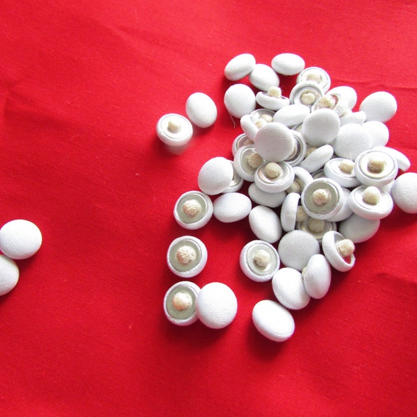 White and Ivory - Etsy