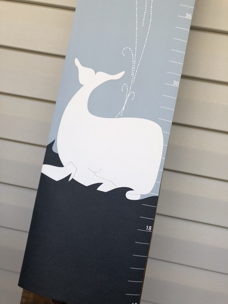 Personalized children's growth chart writeable canvas | Etsy