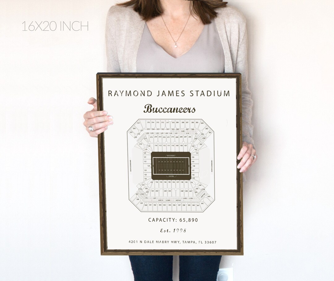 Buccaneers, Raymond James Stadium Print or Canvas. Tampa Bay, Florida ...