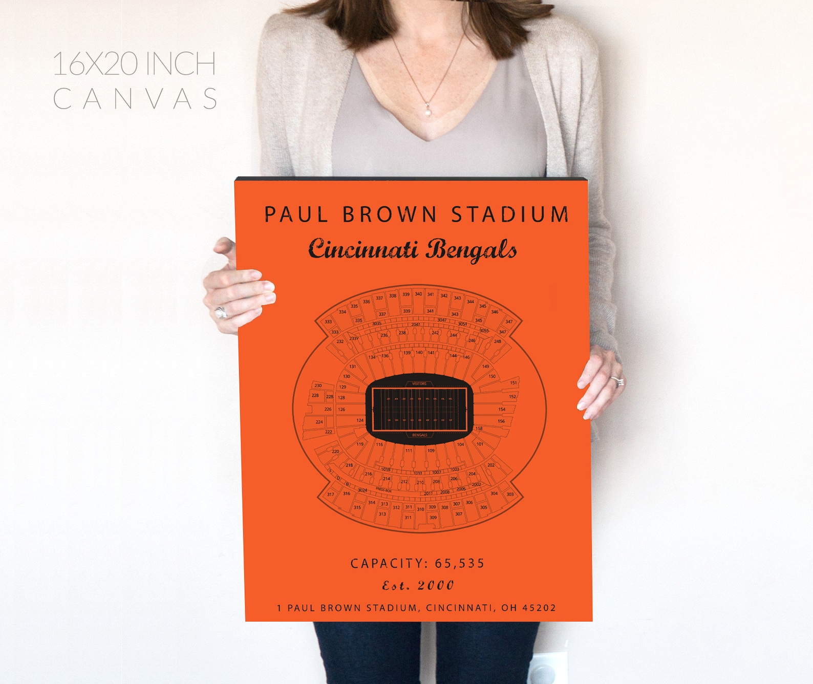 Cincinnati Bengals, Paul Brown Stadium Print or Canvas. NFL Stadium ...