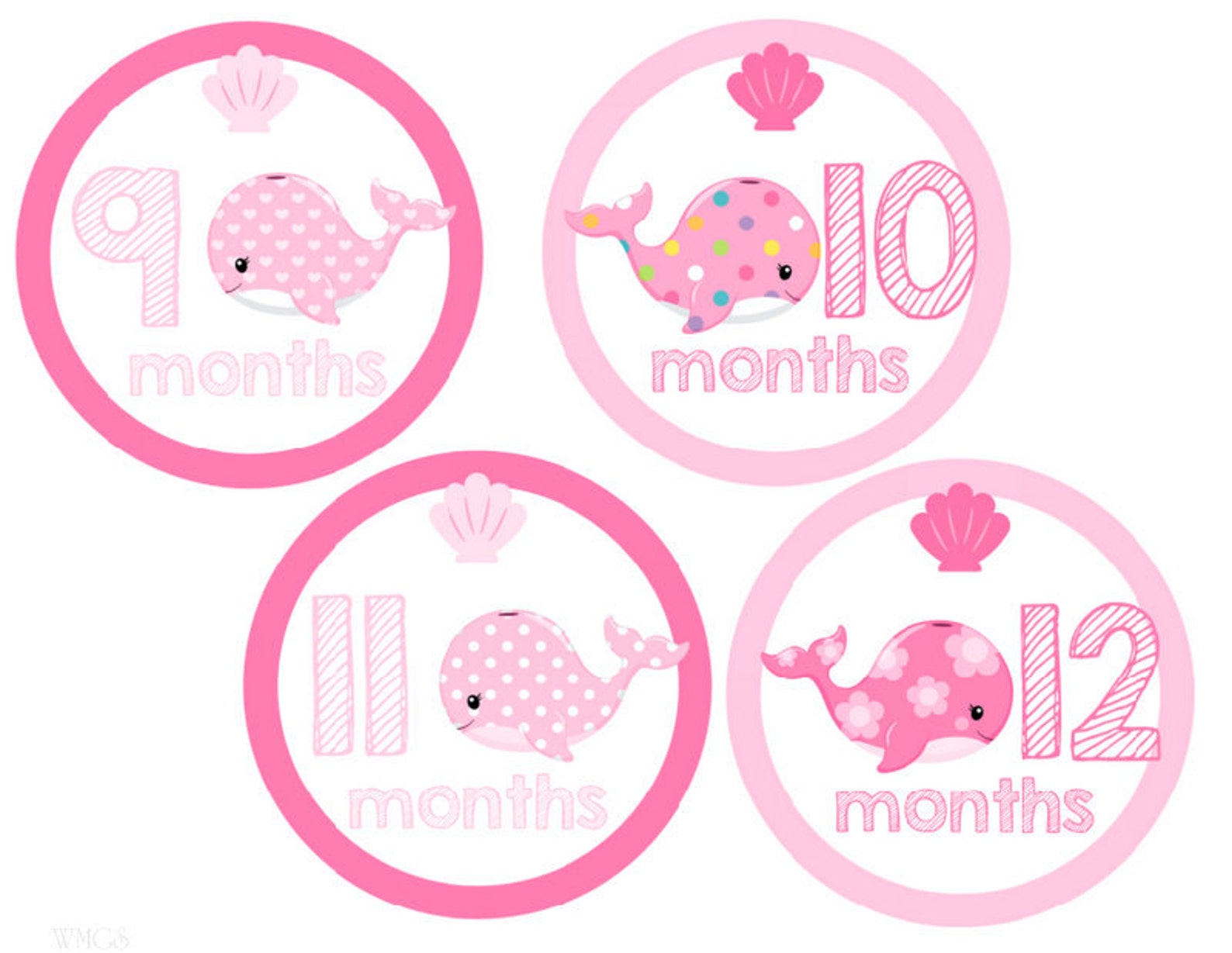 Baby Milestone Stickers Girls Monthly Baby Stickers Monthly | Etsy